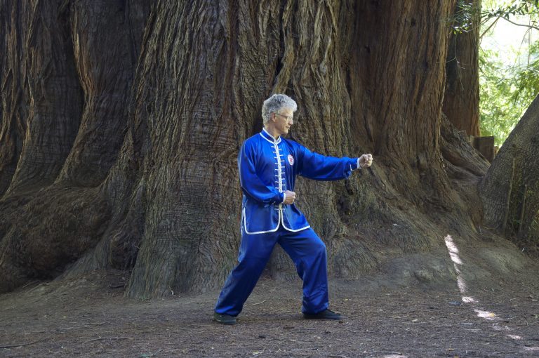 Xing Yi Quan's Five Element Fists - 10000 Victories