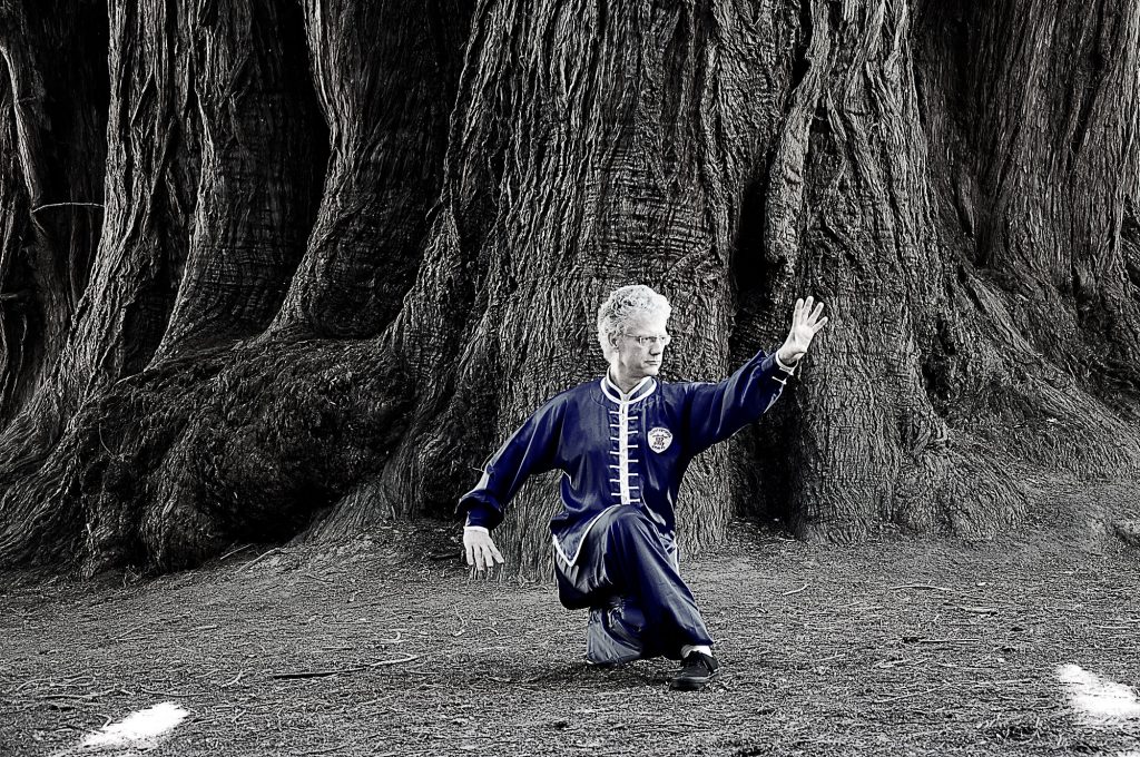 Xing Yi Quan - 10000 Victories Kung Fu