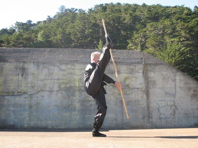 Northern Shaolin Earth Dragon Staff Days - 10000 Victories