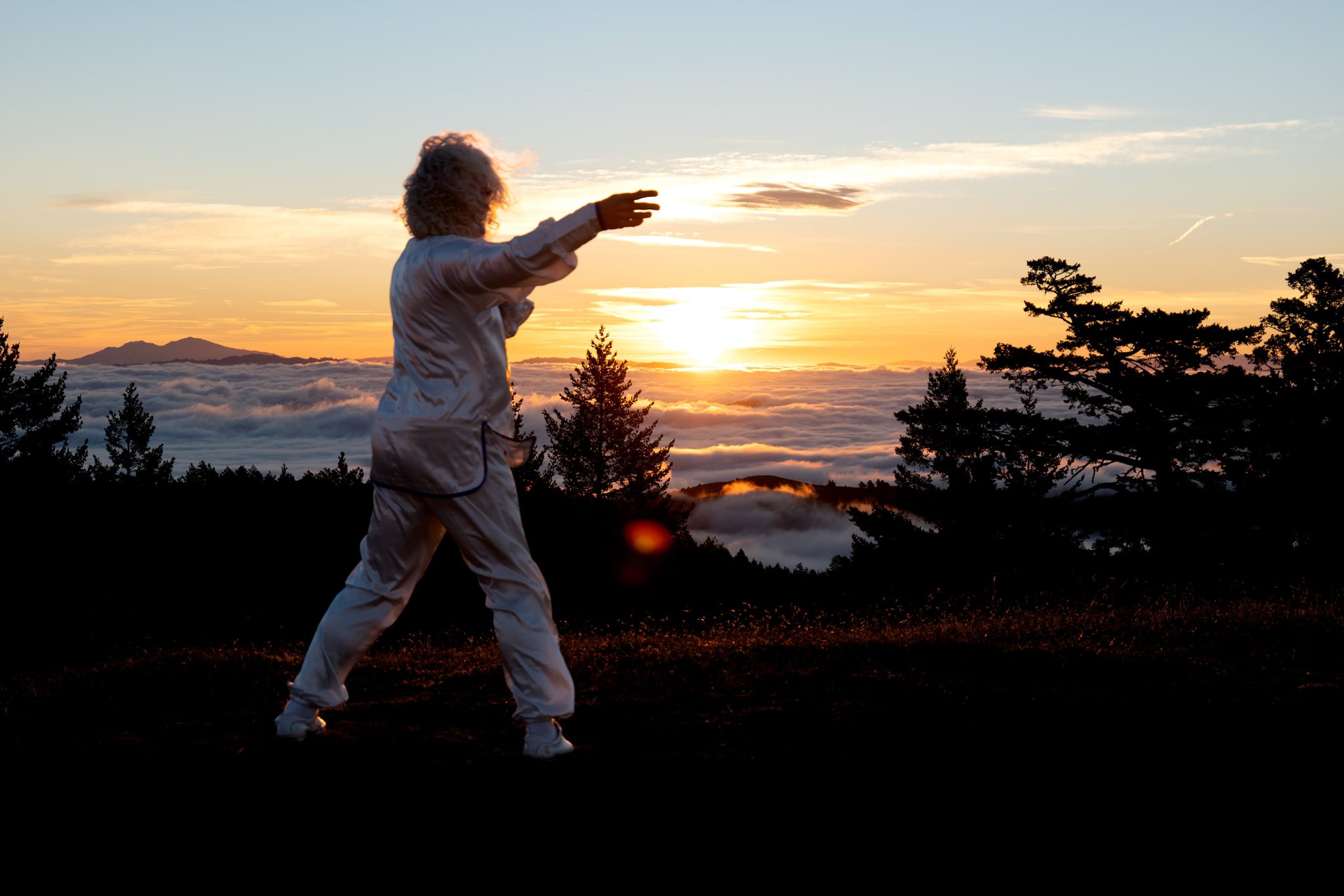 Muscle Tendon Changing Classics: Yi Jin Jing Qigong coming soon ...