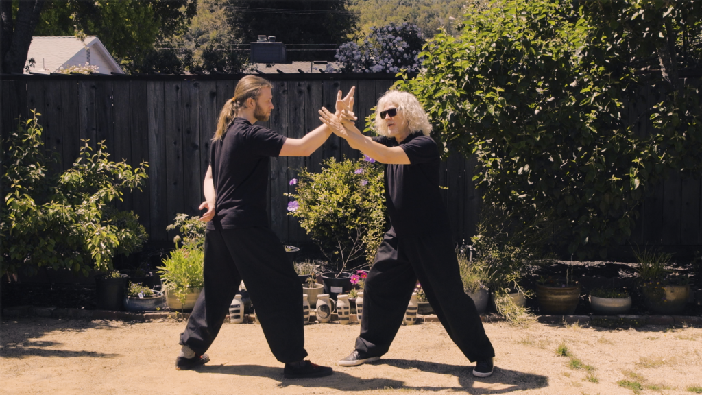 Classical Combat Tai Chi Path - 10000 Victories