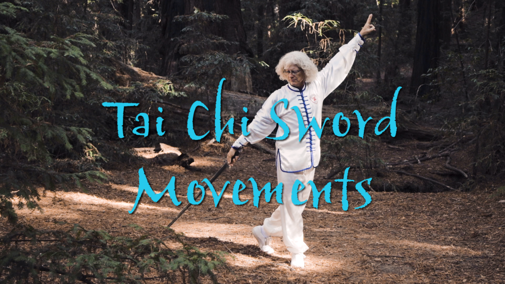 Tai Chi Sword Path - 10000 Victories