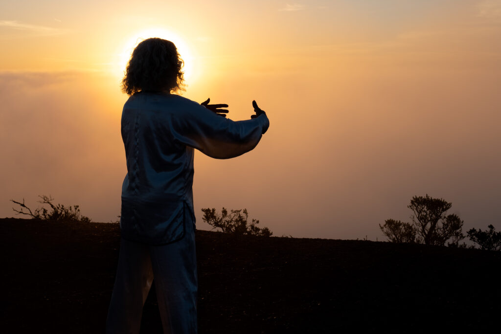 Qi Gong Series - 10000 Victories