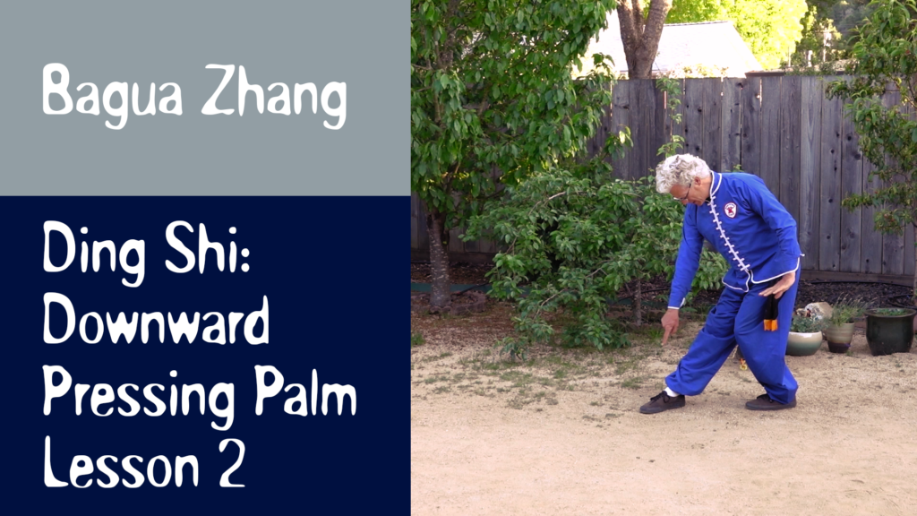 New Bagua Lessons - Downward Pressing Palm - 10000 Victories