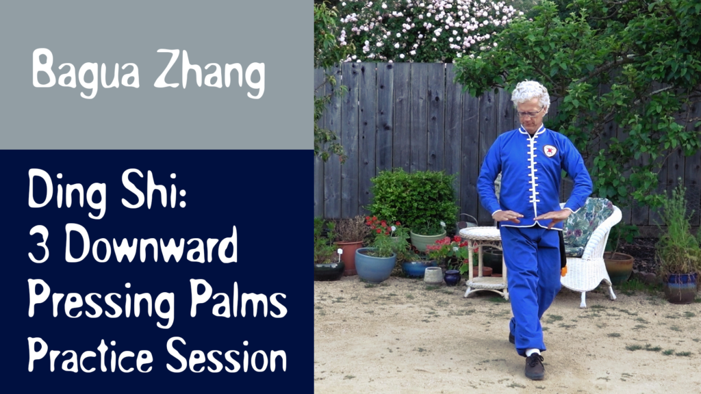 New Bagua Lessons - Downward Pressing Palm - 10000 Victories