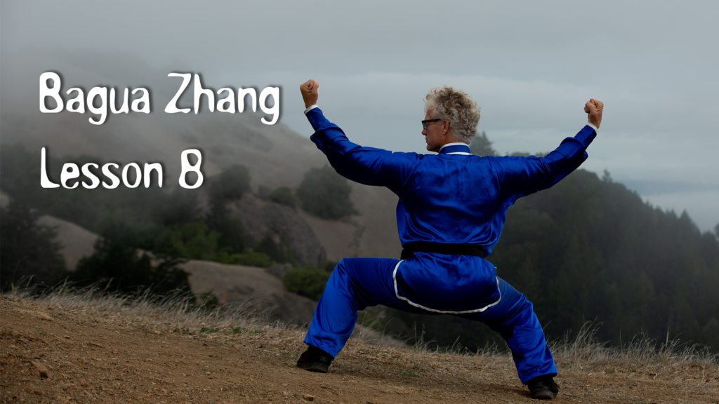 New Bagua Lessons Added - 10000 Victories