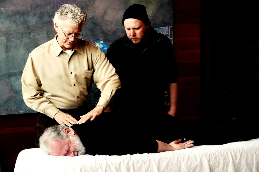 Tui Na Massage Healing Secrets: Lineaments and Poultices - 10000 Victories