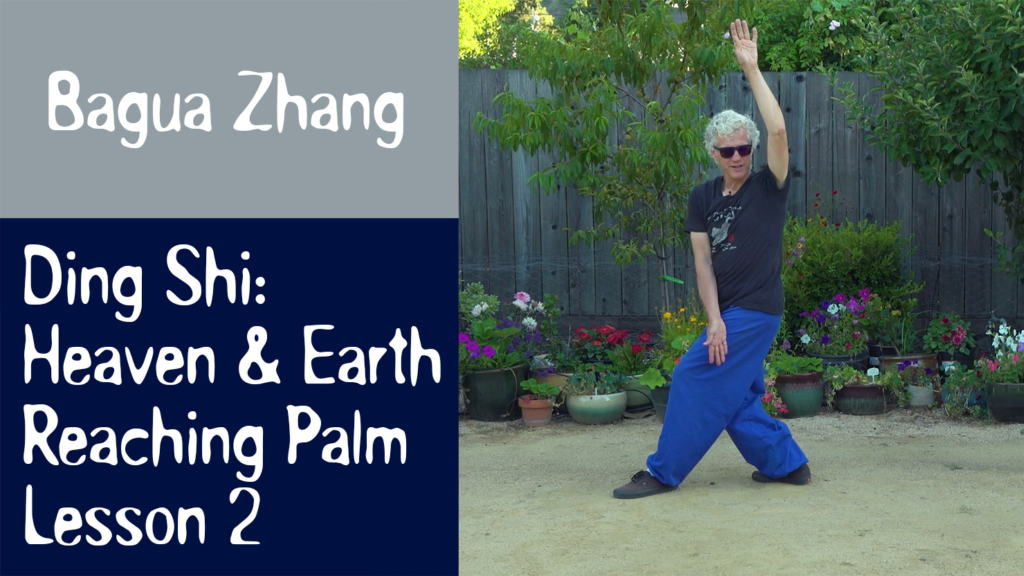Expanding Horizons: New Liang Zhen Pu Bagua Zhang Lessons Await ...