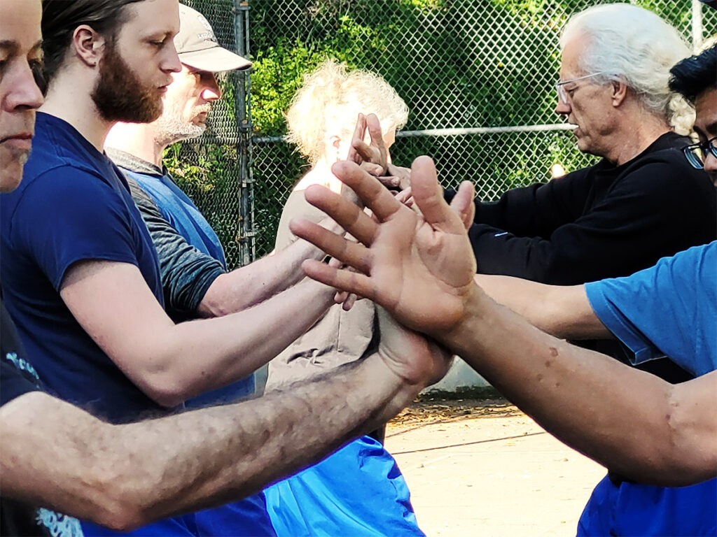 Brush Knee Push Hands Technique - Tai Chi Push Hands - 10000 Victories