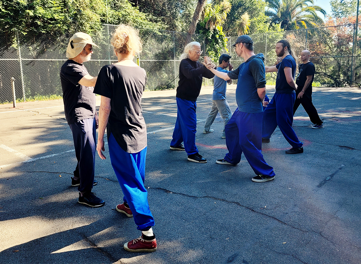 The Secrets of Tai Chi Pushing Hands: A Transformative Seminar - 10000 ...