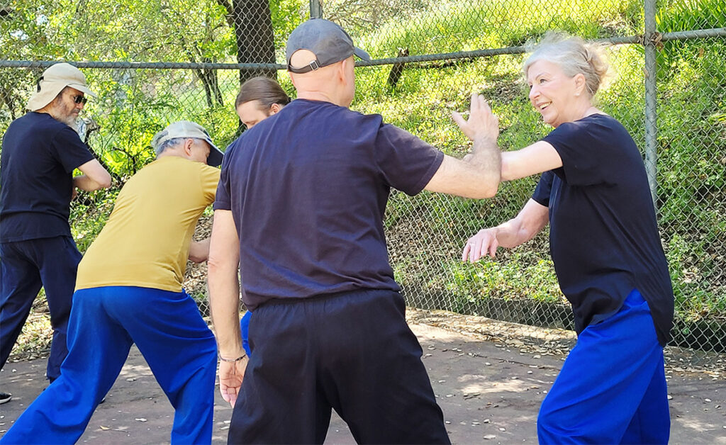 The Secrets of Tai Chi Pushing Hands: A Transformative Seminar - 10000 ...