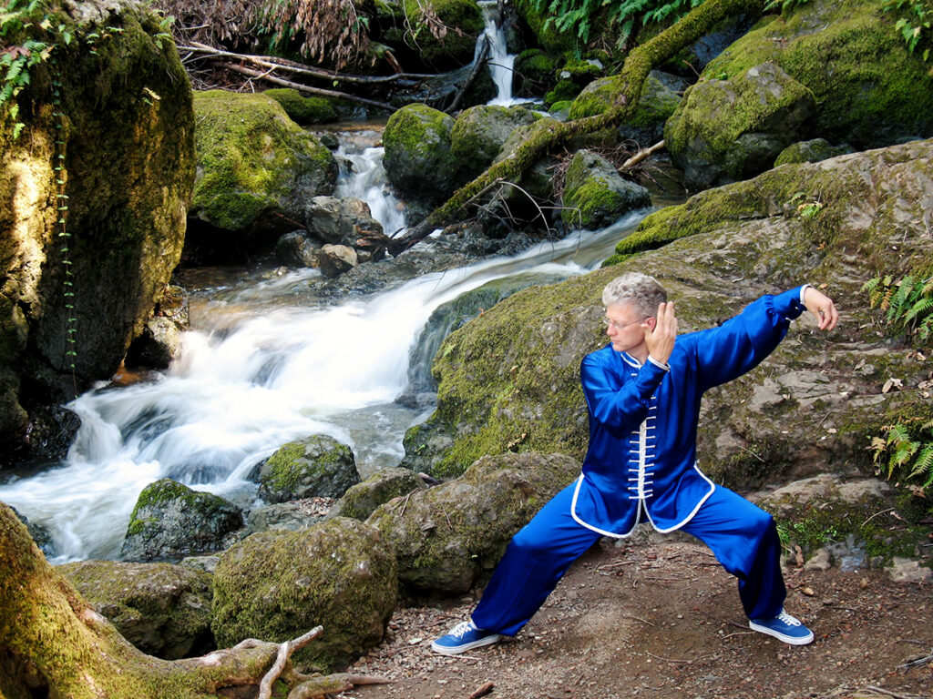 Hand Positions and Gestures in Tai Chi Chuan - 10000 Victories